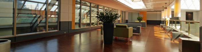 About Us – Matrix Construction